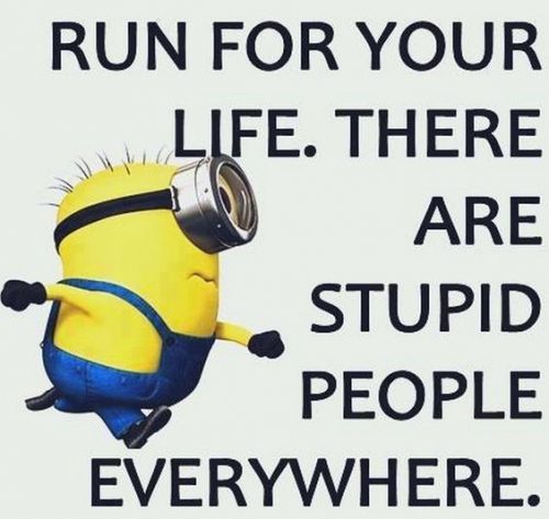 40 Funniest Minion Quotes and Sayings 19 #Minion #Funny Memes ... 40 Funniest Minion Quotes and Sayings 19 #Minion #Funny Memes ...