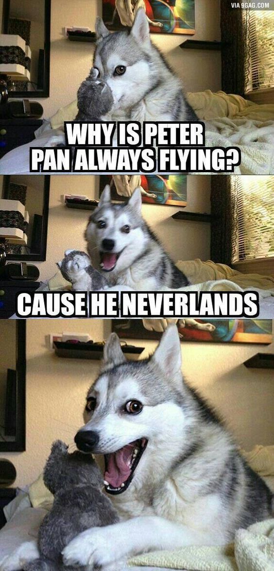 35 Funniest Sports Pictures | QuotesHumor.com
